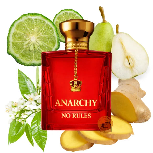 Macarena Anarchy No Rules King of Kings Decant (muestra) hombre ...