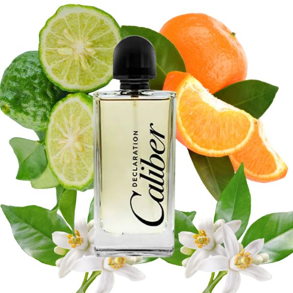 Fragrance world Declaration Caliber Decant (muestra) hombre – Perfume ...